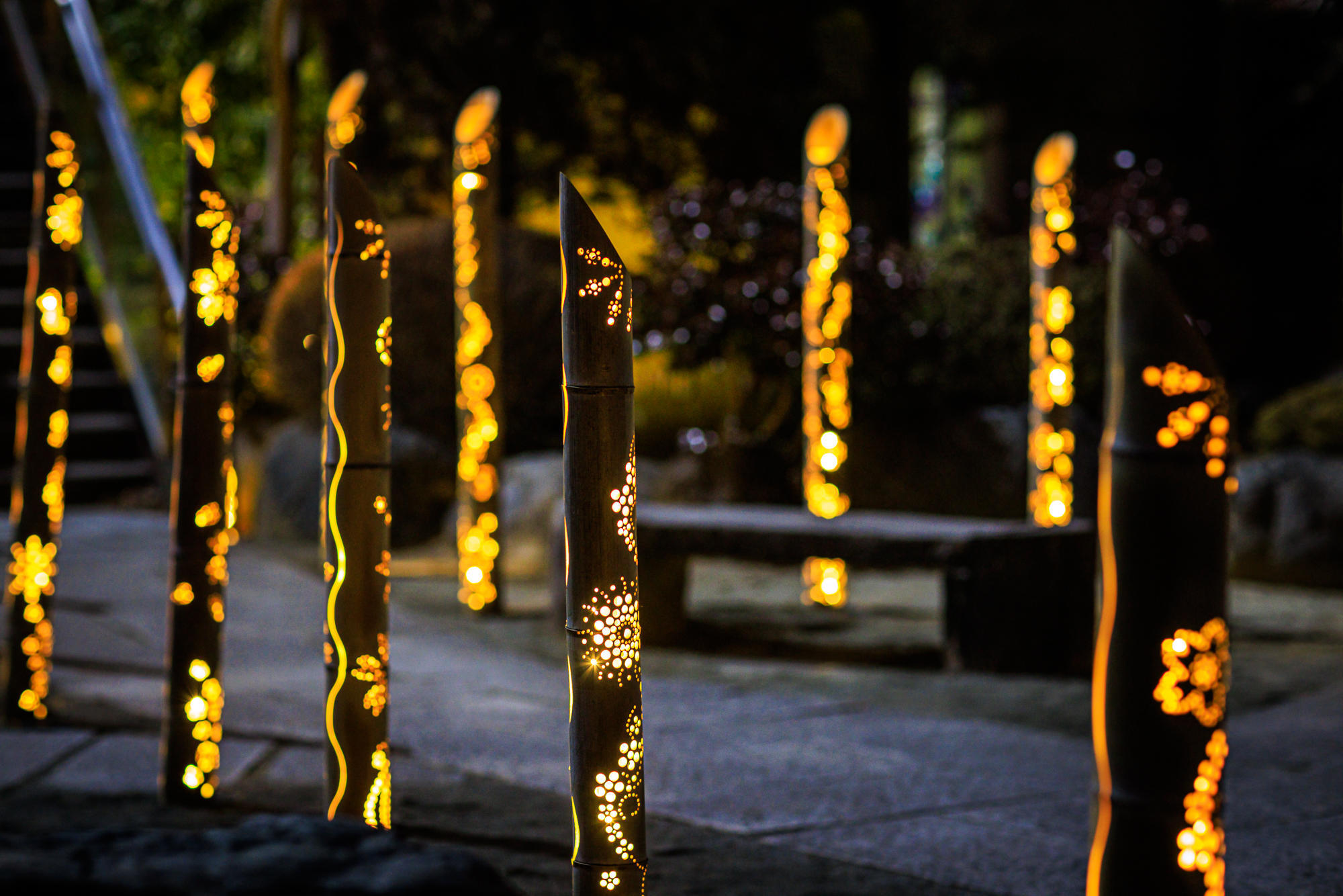 The bamboo lantern event is starting soon.｜Welcome to FUJISAN（staffblog ...